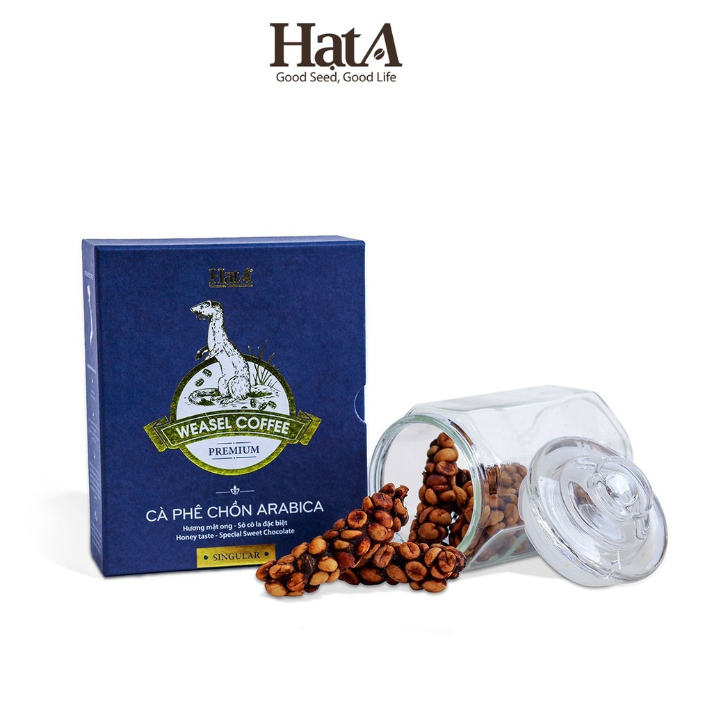 Hat A Cafe Premium Weasel Coffee Honey - Chocolate 100g Gift Box ...